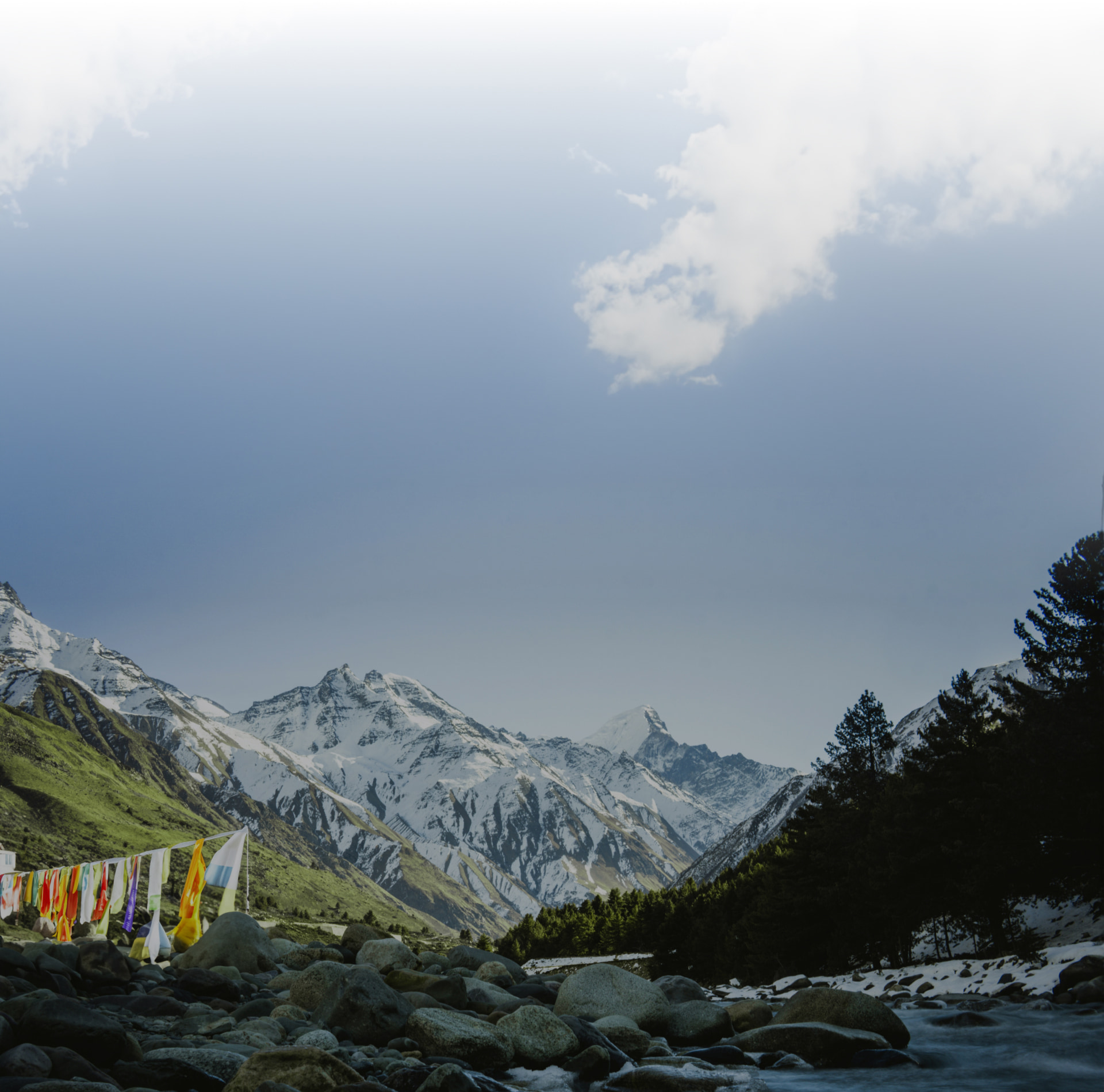 DK Bhutan Banking App & Internet Digital Banking Case Study | Beau ...