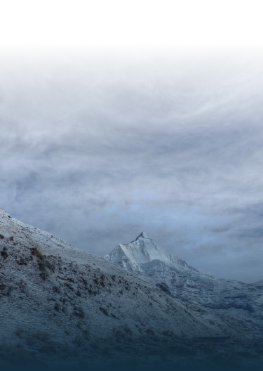 DK Bhutan Banking App & Internet Digital Banking Case Study | Beau ...